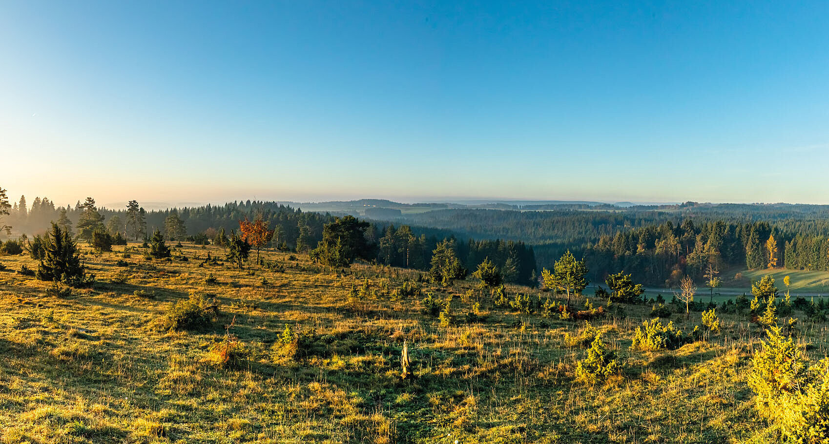 Der Lemberg mit Lemberg-Turm – Gosheim-Tourismus - Gosheim Tourismus