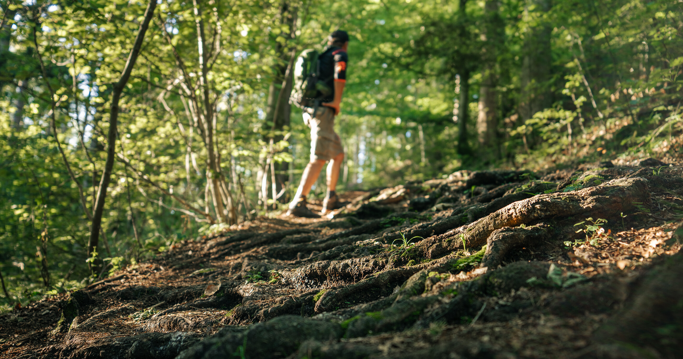 Unsere Highlights – Gosheim-Tourismus - Gosheim Tourismus